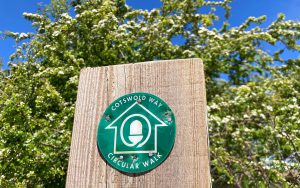 Leckhampton Hill walk near Cheltenham (3 miles circular)