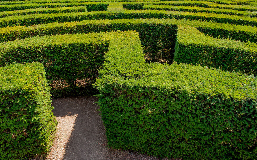 Things to do in Bourton-on-the-Water, Cotswolds: A local’s guide