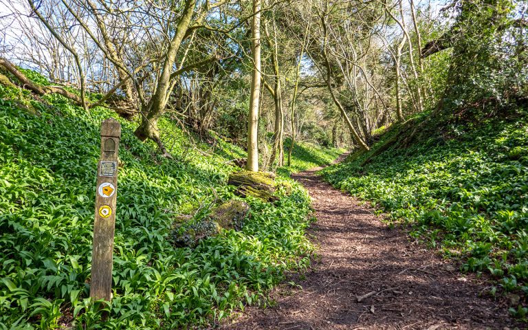 Walking the Cotswold Way: Everything you need to know - Explore the ...