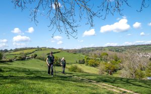 13 spectacular long-distance walking routes in the Cotswolds