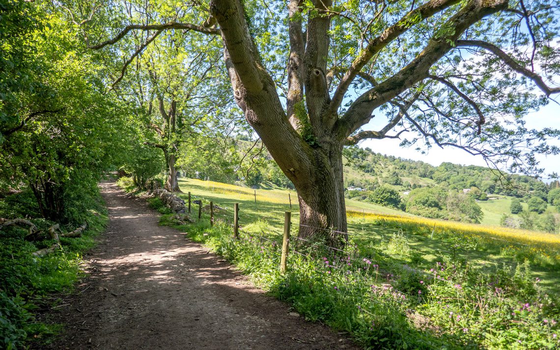 Leckhampton Hill walk near Cheltenham (3 miles circular)