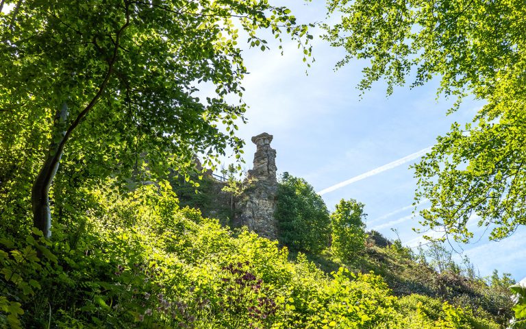 Leckhampton Hill walk near Cheltenham (3 miles circular)