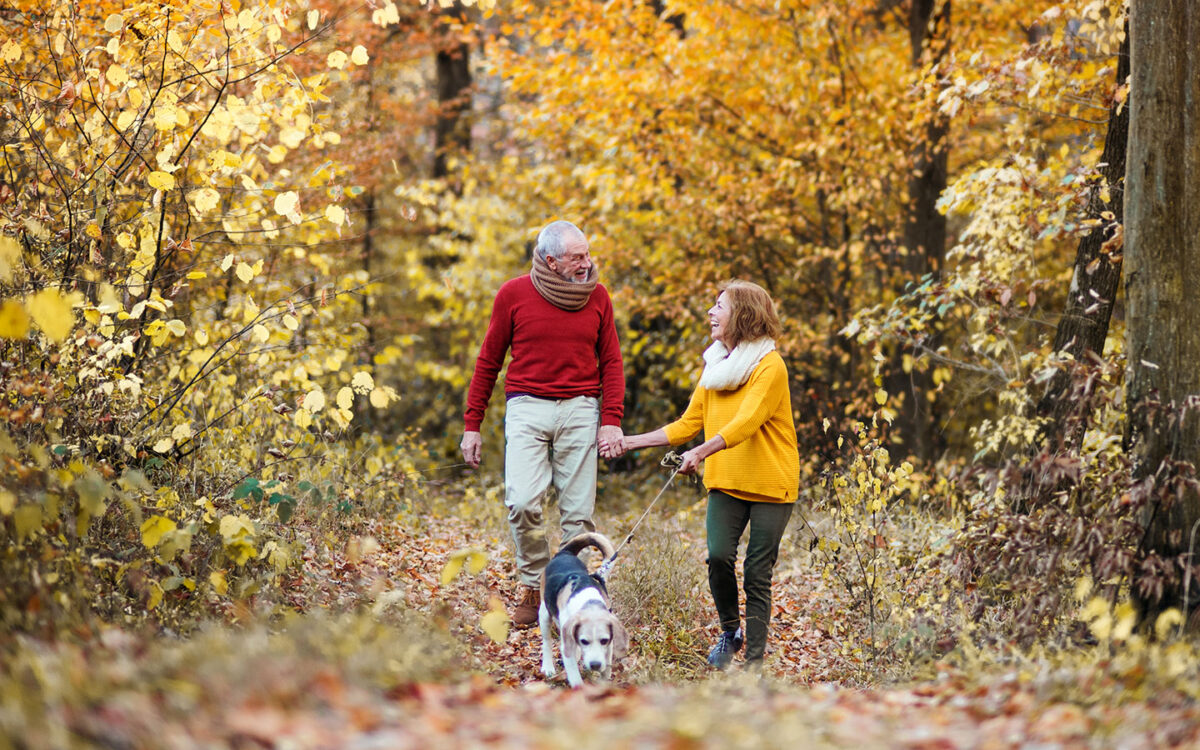 24 great dog-friendly attractions in the Cotswolds